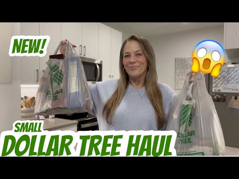 DOLLAR TREE HAUL | SMALL | NEW ITEMS | SNACKS | CONTAINERS - YouTube