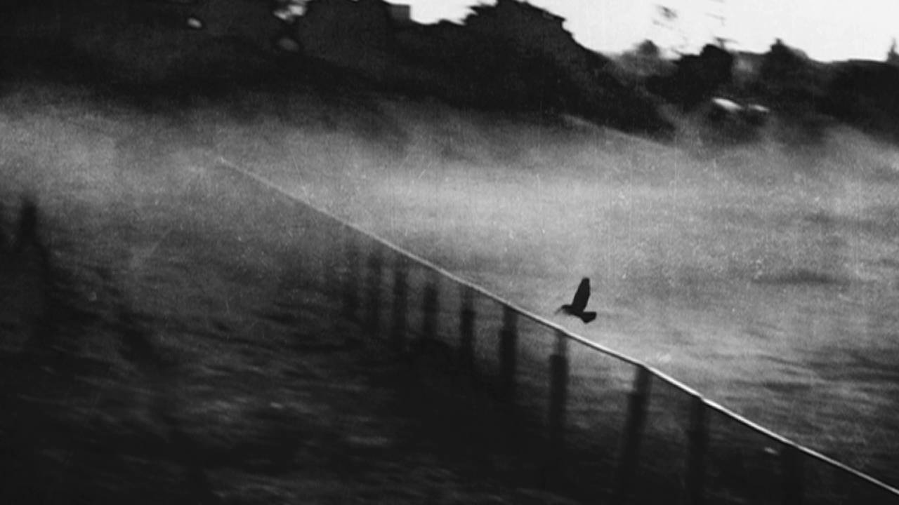 Invernium - Dying Crow - YouTube