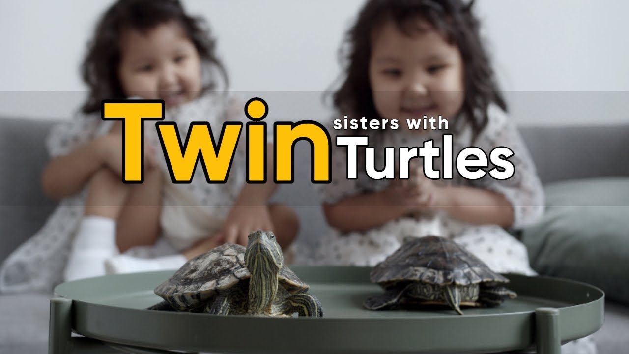 Twin Sisters Playing With Twin Turtles - Crazy Wild Pet Animals - YouTube