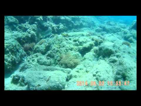 θαλασσα και ζωη στο βυθο - YouTube