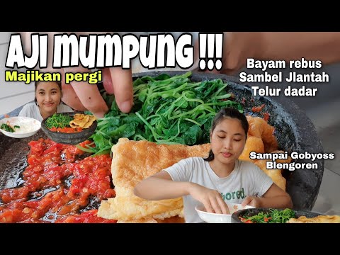 PEDESNYA SAMPAI BIBIR BLENGOREN‼️ Sambel Mentah Minyak Panas mumpung Majikan Pergi || TKW TAIWAN