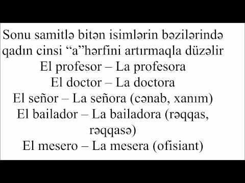 İspan dilinin qrammatikası Dərs 1 - İspan dilində cinslər