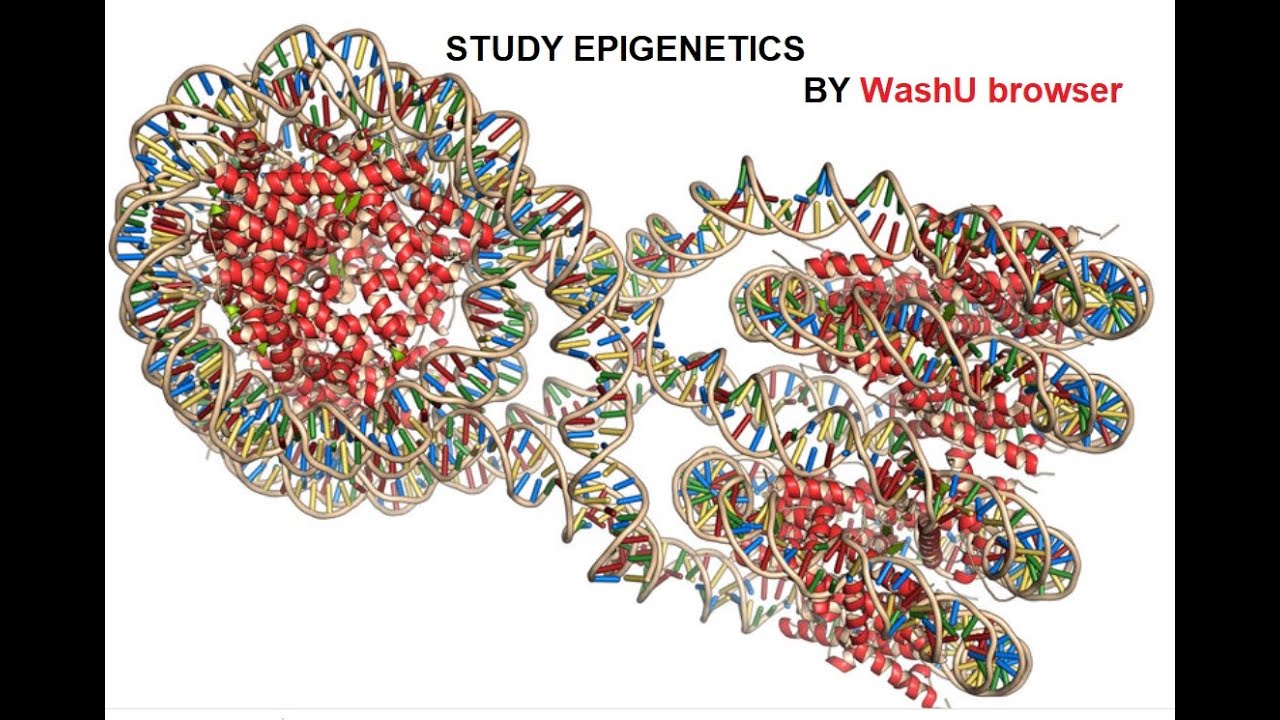 How to analyze epigenetic modification from genomic data base #genomics ...
