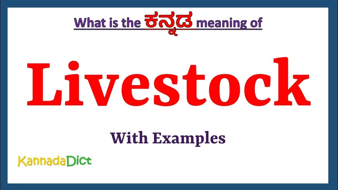 livestock-meaning-in-kannada-livestock-in-kannada-livestock-in