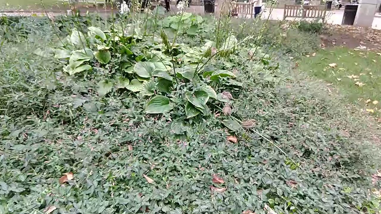 Moto X4 camera test: slow-motion (720p) - YouTube