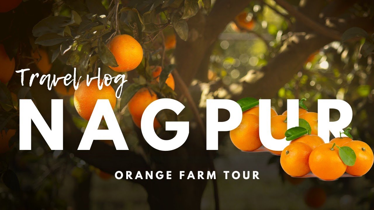 Nagpur Orange Farm Tour || Visiting Orange Farm || Travel Vlog - YouTube