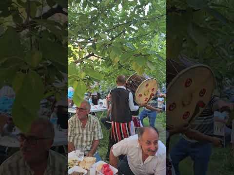 sinop davul zurna Erfelek düğünü