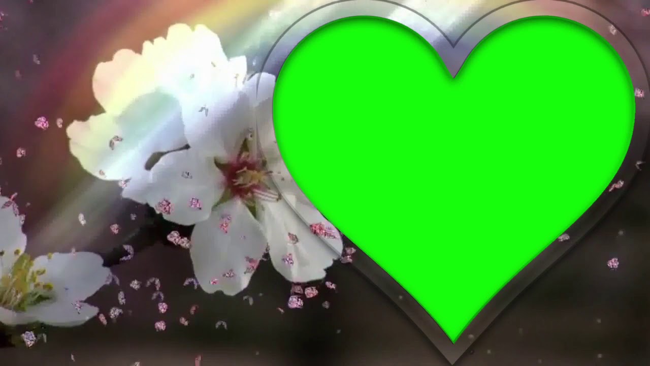Kine master photo frame - YouTube