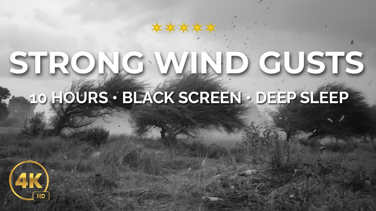 10 Hours of Strong Wind Gusts 🌬️ | Powerful Wind Ambience on Black Screen for Deep Sleep & Focus ...