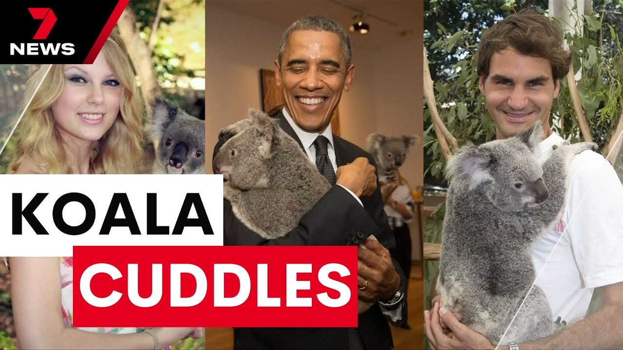 A look back on koala's role in Queensland's tourism boom | 7NEWS - YouTube