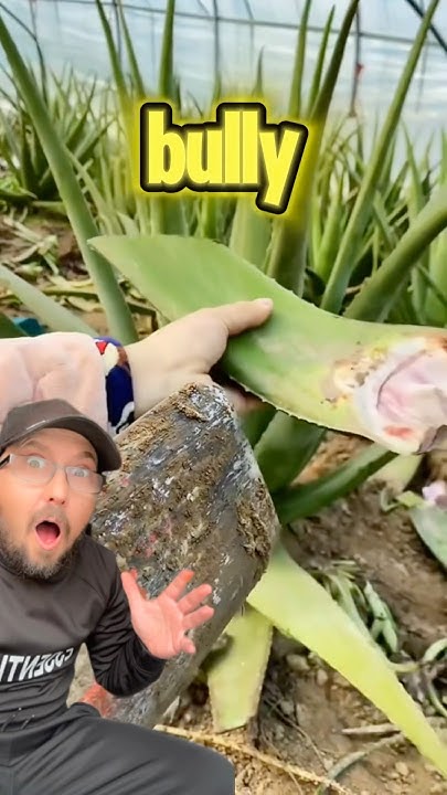 If You LAUGH You’re A BULLY - YouTube