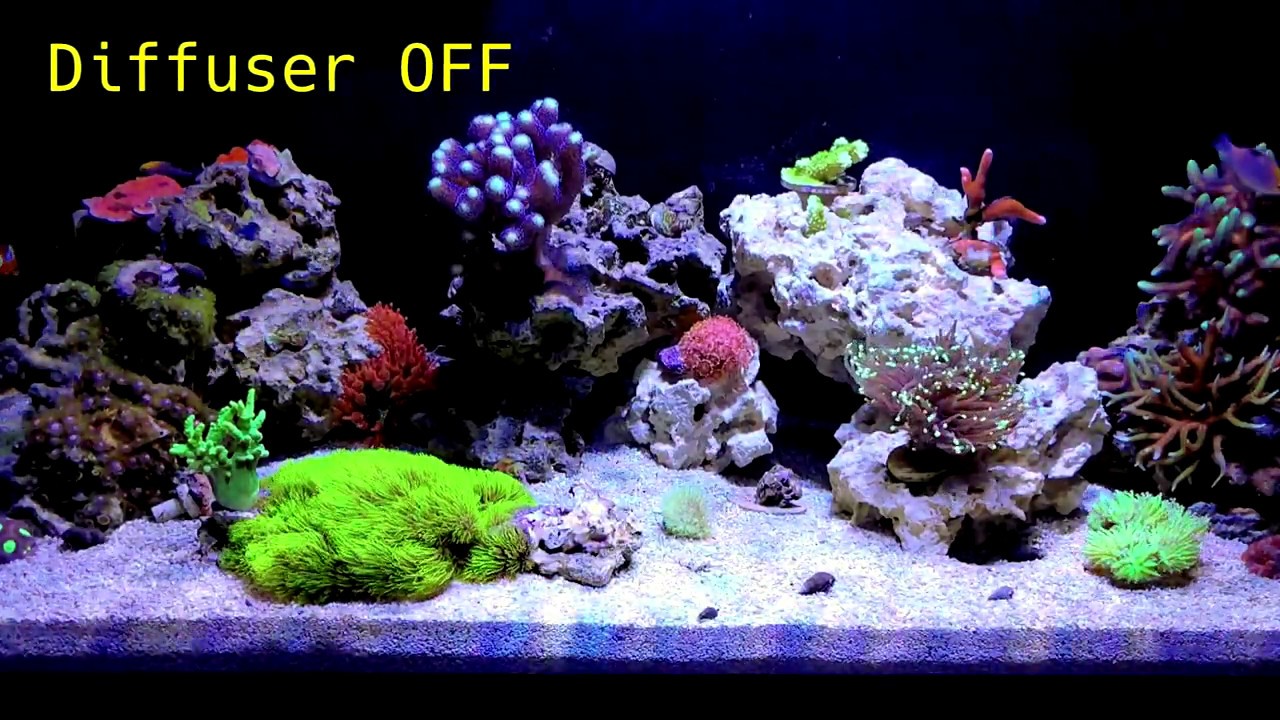 Hydra26 HD Diffuser V2 - YouTube