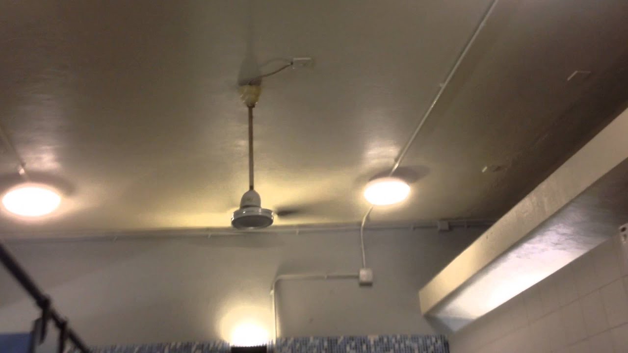 SMC "K48" industrial/commercial ceiling fans in a restroom - YouTube