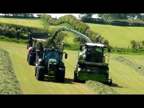 Silage '19 - Rowing-Up and Lifting. - YouTube
