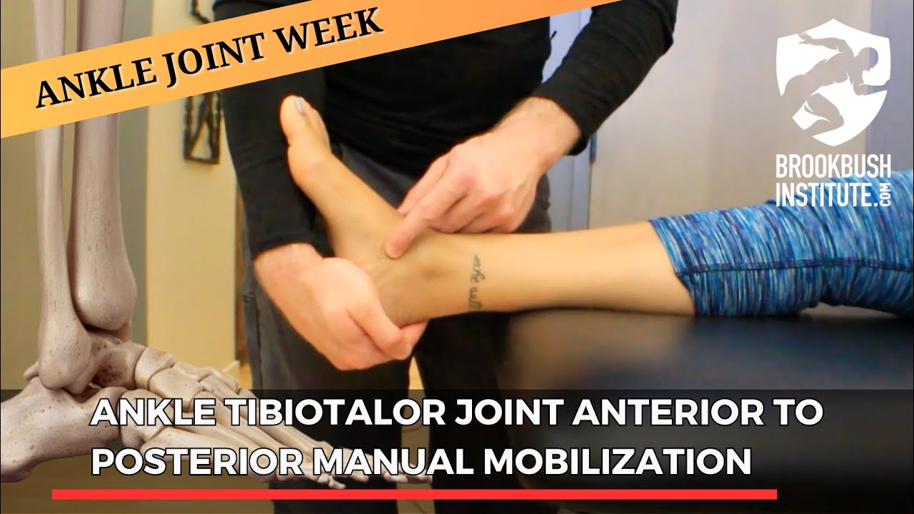 Ankle Tibiotalor Joint Anterior to Posterior Manual Mobilization - YouTube