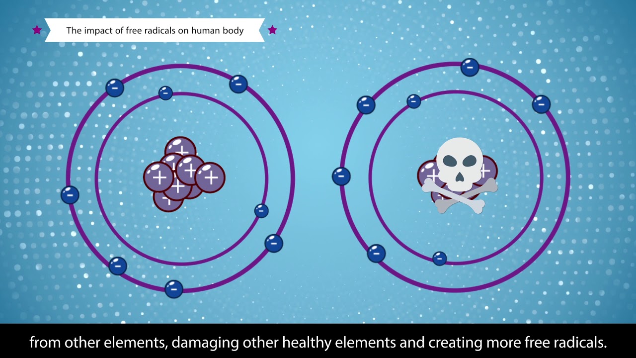 Return Legacy - REOXlife Potent (Eng) - YouTube