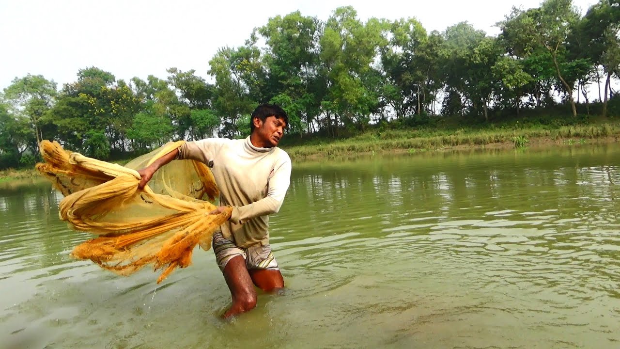 Net Fishing at the Beautiful River | River Fishing by Daily Village ...