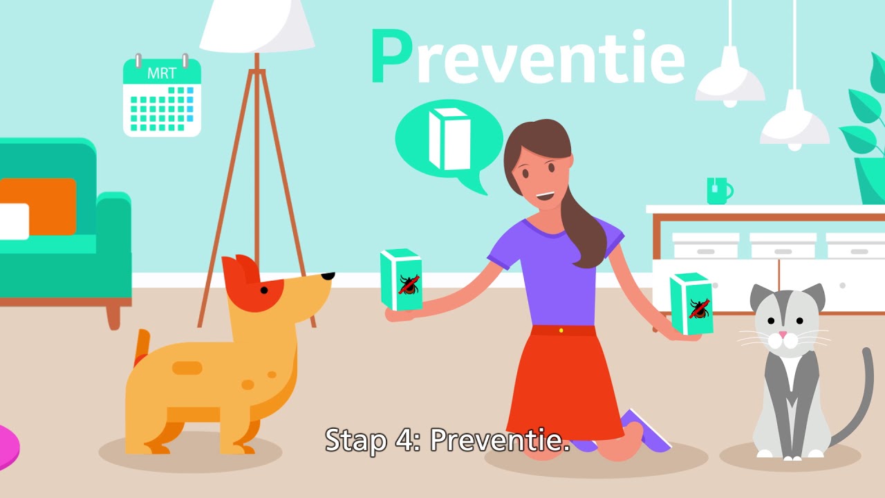 STAP methode bij tekenbeet | MSD Animal Health - YouTube