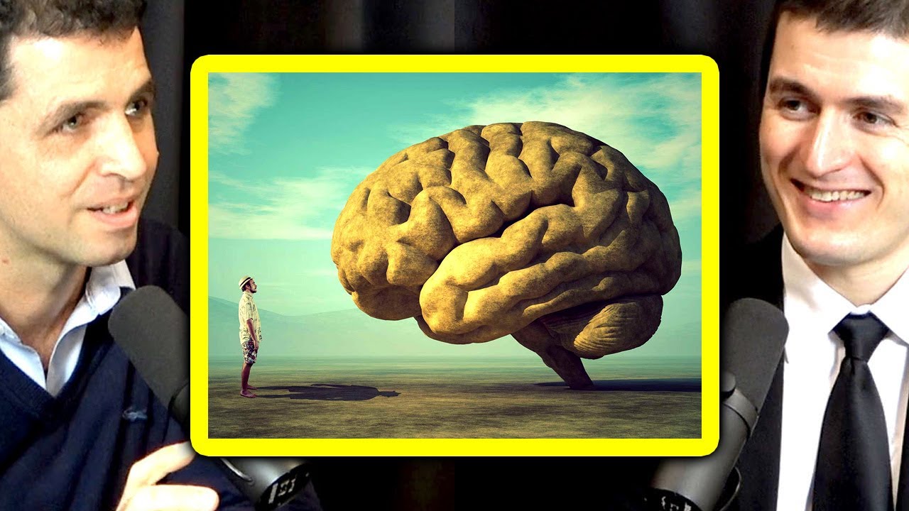 Ideas co-evolve with human brains | Manolis Kellis and Lex Fridman ...