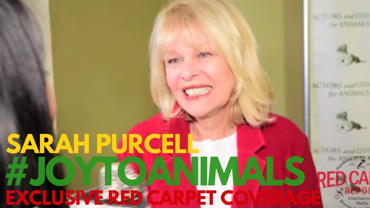 Sarah Purcell interviewed at the Joy To The Animals Luncheon # ...