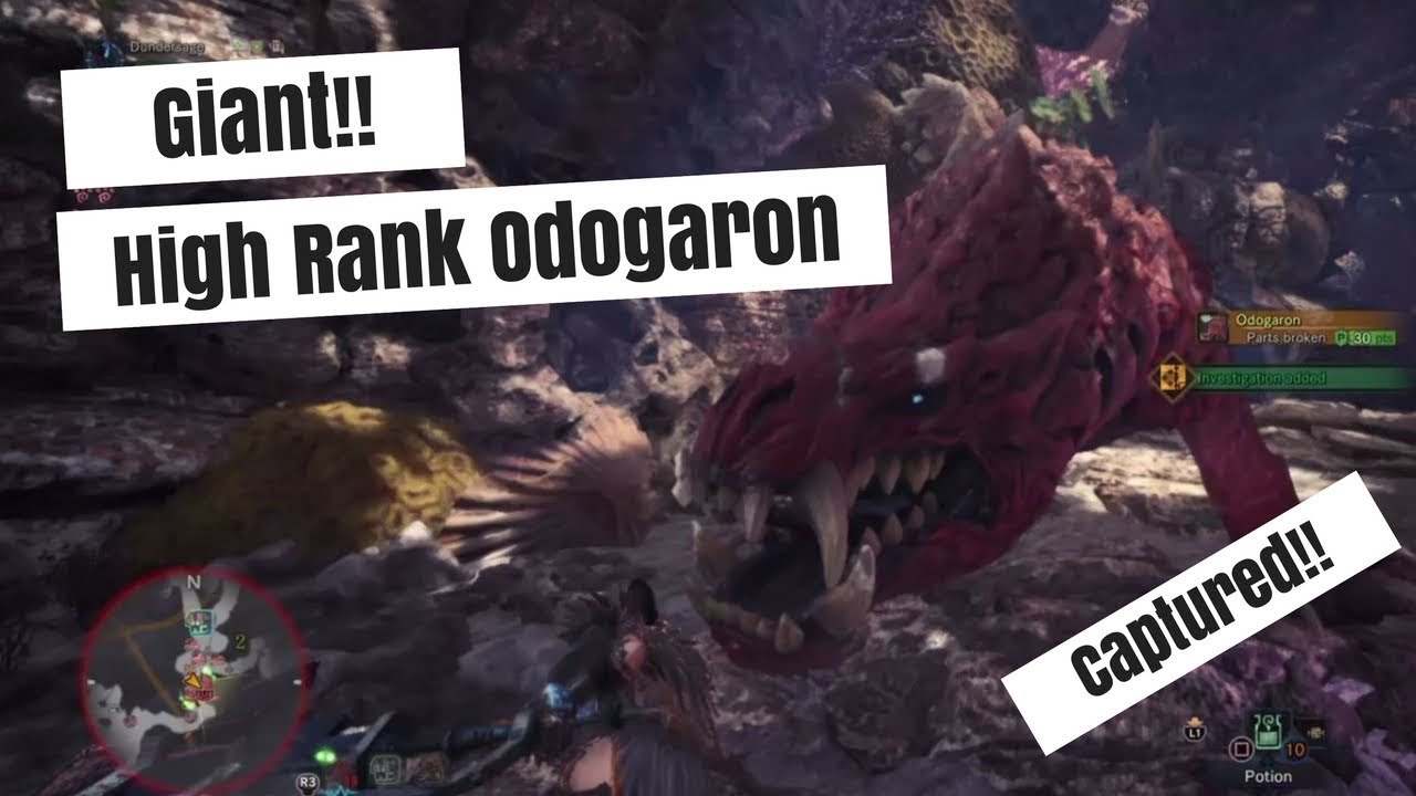 GIANT HIGH RANK ODOGARON | Monster Hunter World - YouTube