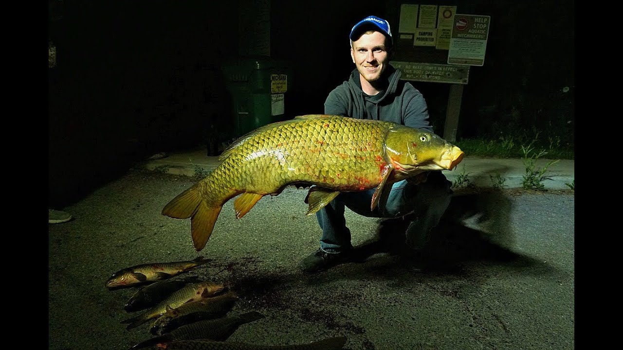 Shooting a MASSIVE Carp with a Bow - YouTube