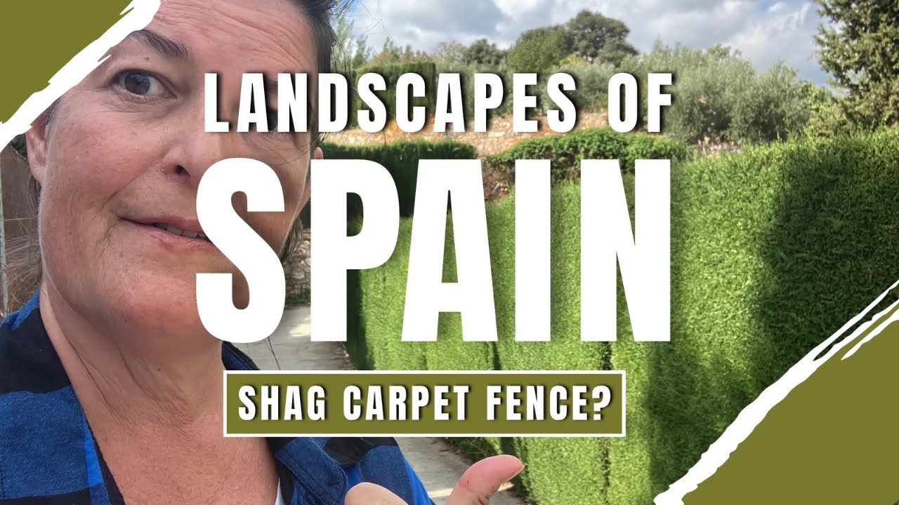 What's Behind the WEIRD Shag Carpet Fencing? | Travel Shots (Live ...