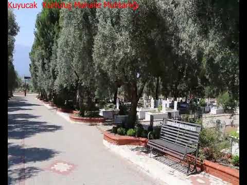 Kuyucak Kurtuluş Mahalle Mezarlığı