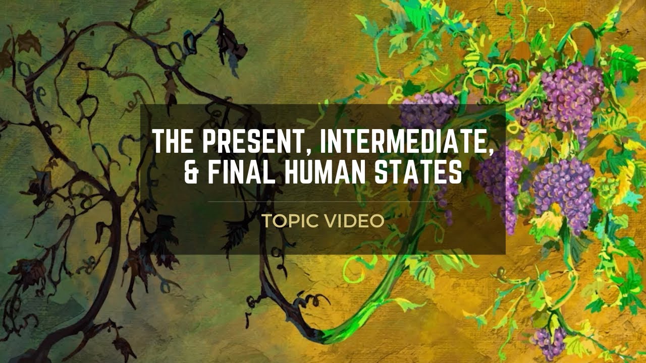 Topic Video: The Present, Intermediate, and Final Human States - YouTube
