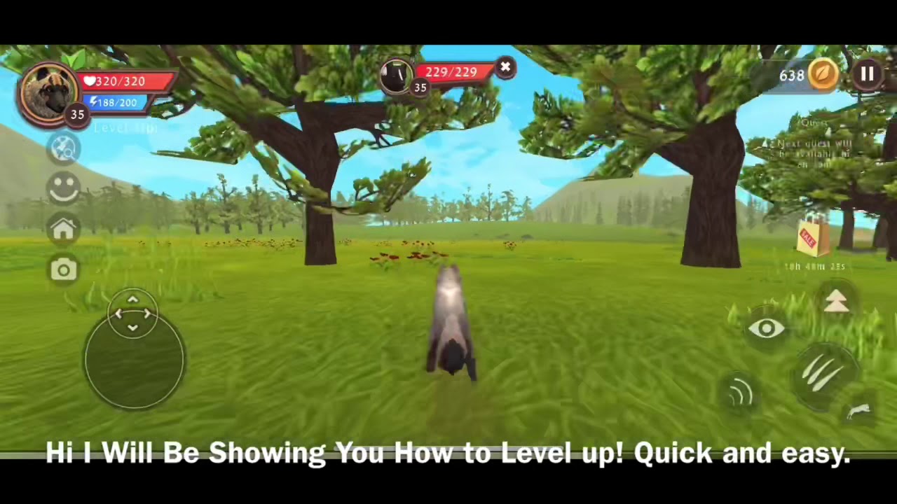 WILDCRAFT: THE REAL WAY TO LEVEL UP QUICK AND EASY - YouTube