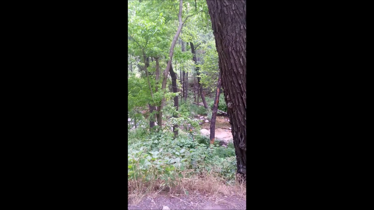 Mogollon Monster Sighting Northern Arizona 2016 - YouTube