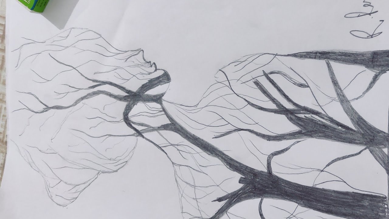 what did you see first ...? Is it a Tree or......? - YouTube