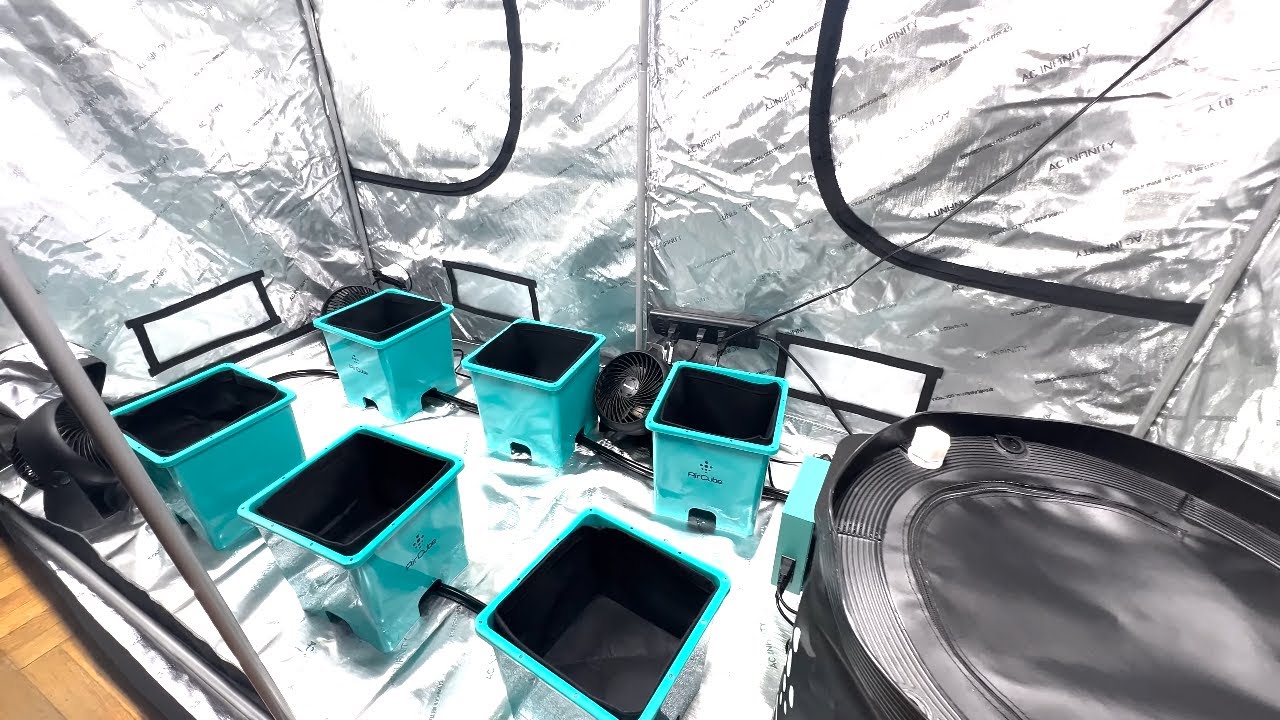 Cannabis Hydroponic Indoor Grow - GrowAce Aircube Ebb & Flow Hydroponic ...