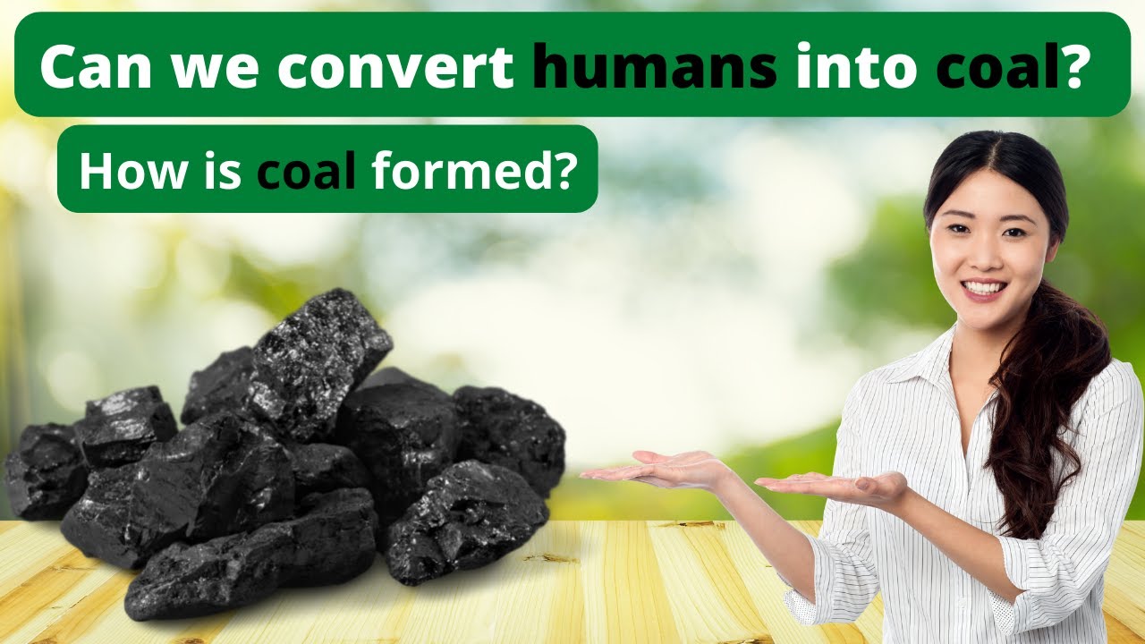 Can we convert humans into coal? | How is coal formed? | Global power ...