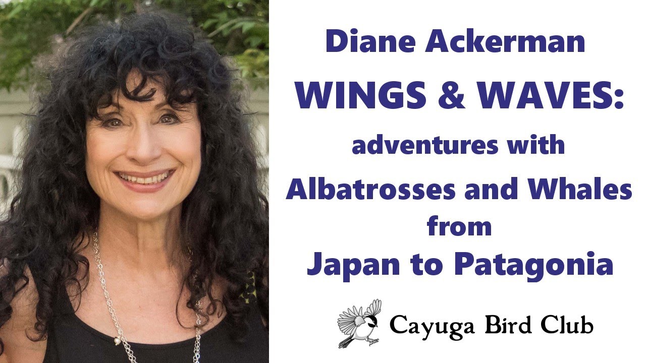 Diane Ackerman - Wings and Waves: adventures with Albatrosses and ...