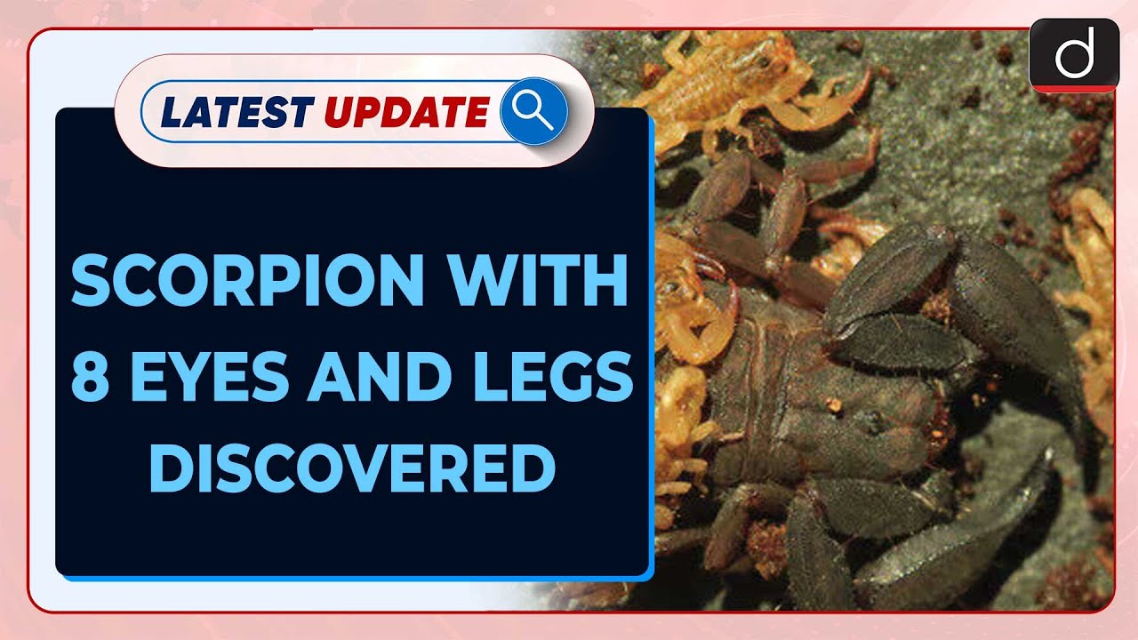 Scorpion with 8 Eyes and Legs Discovered | Latest update | Drishti IAS ...