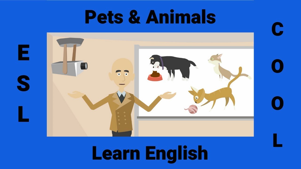 Describing Pets & Animals | English Conversations - YouTube