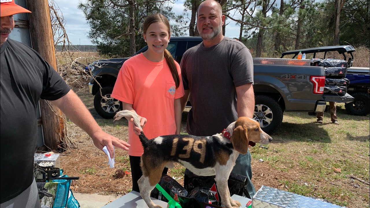 Southern Boys 910 Beagle Trials Championship Cast Speed & Drive Rabbit ...