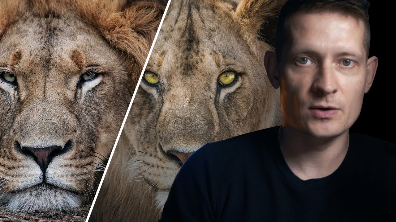 The Secret Steps to Edit Wildlife Photos in Photoshop! - YouTube