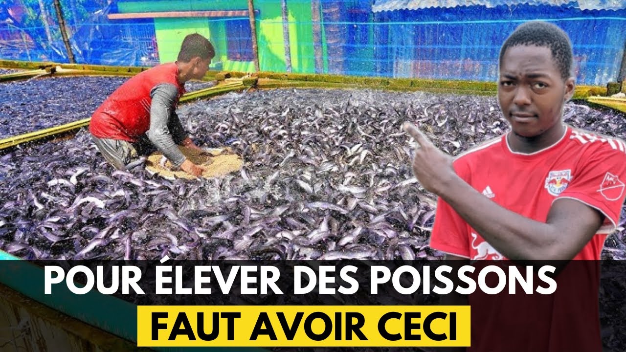 Voici 7 OUTILS NÉCESSAIRES Pour RÉUSSIR Votre ÉLEVAGE de POISSONS en ...