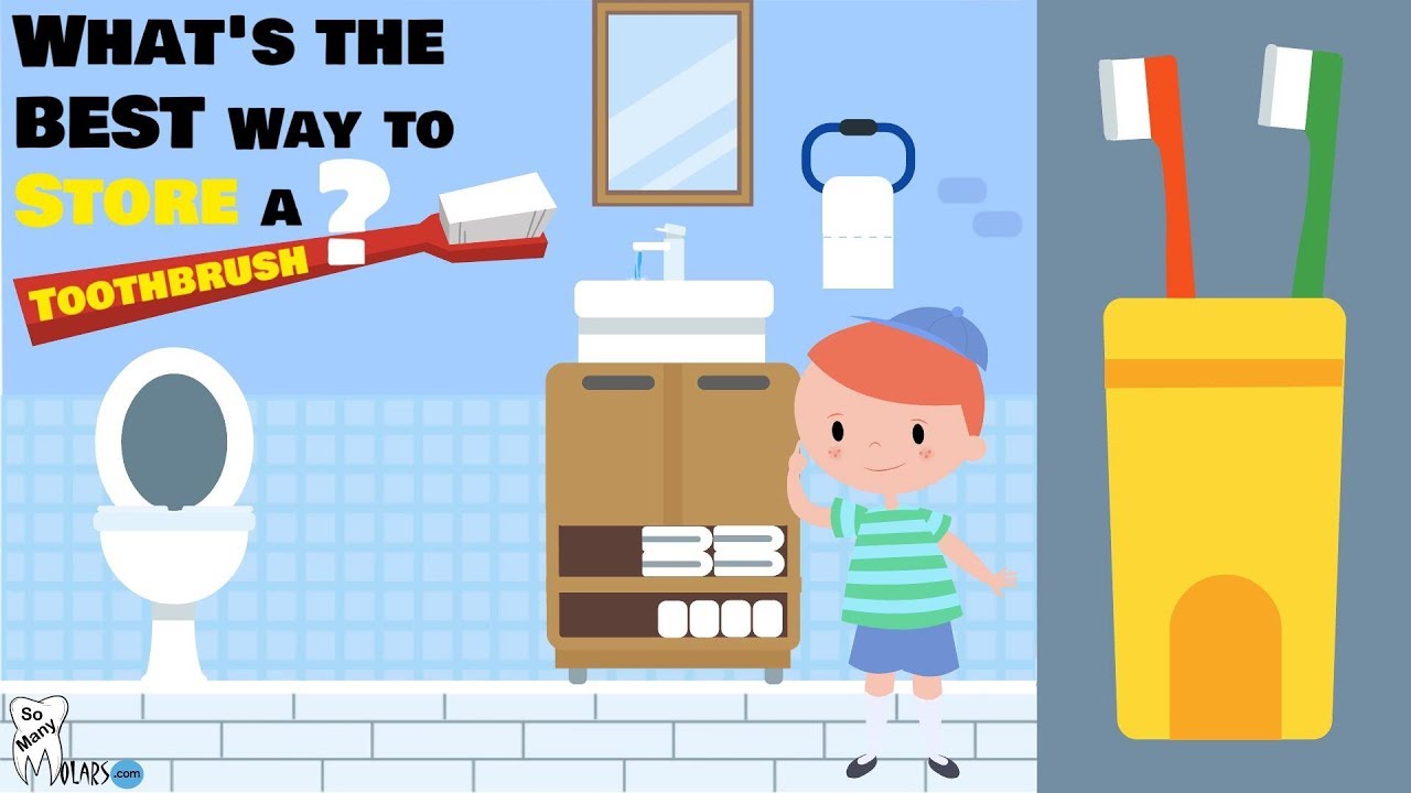 How to Properly Store a Toothbrush - YouTube