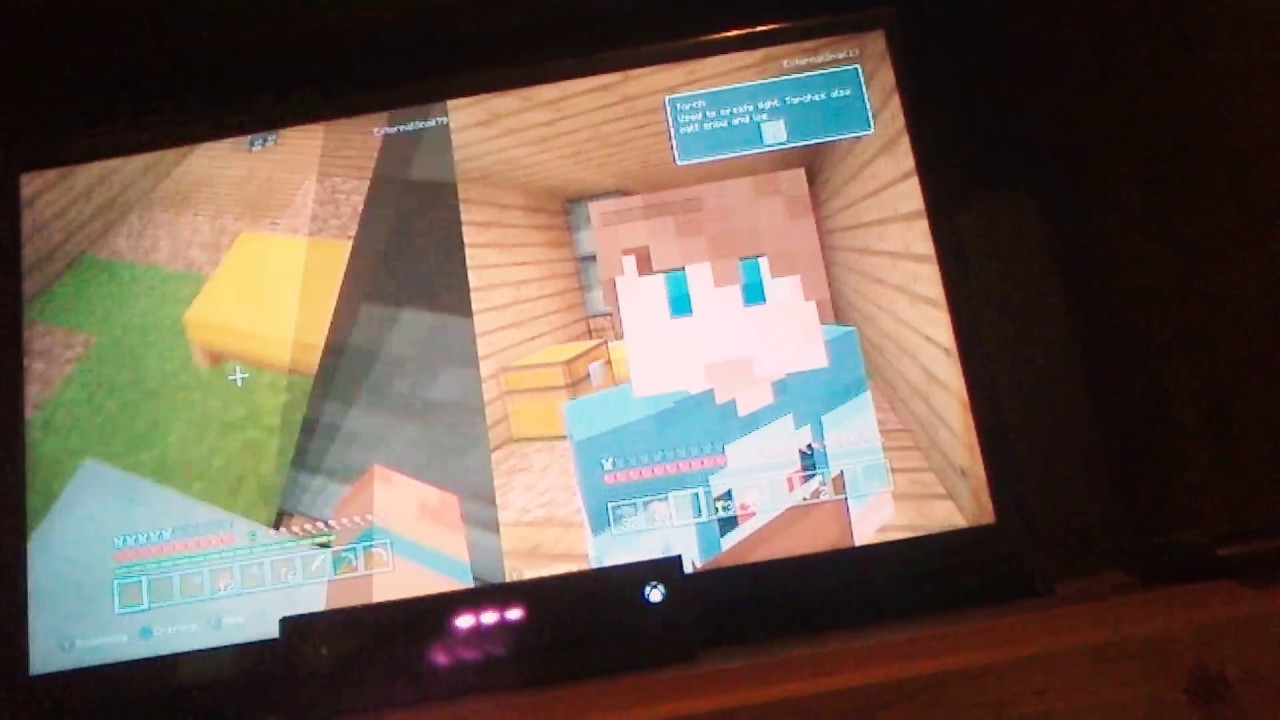 Minecraft Survival series episode 3 (with Bryson) - YouTube