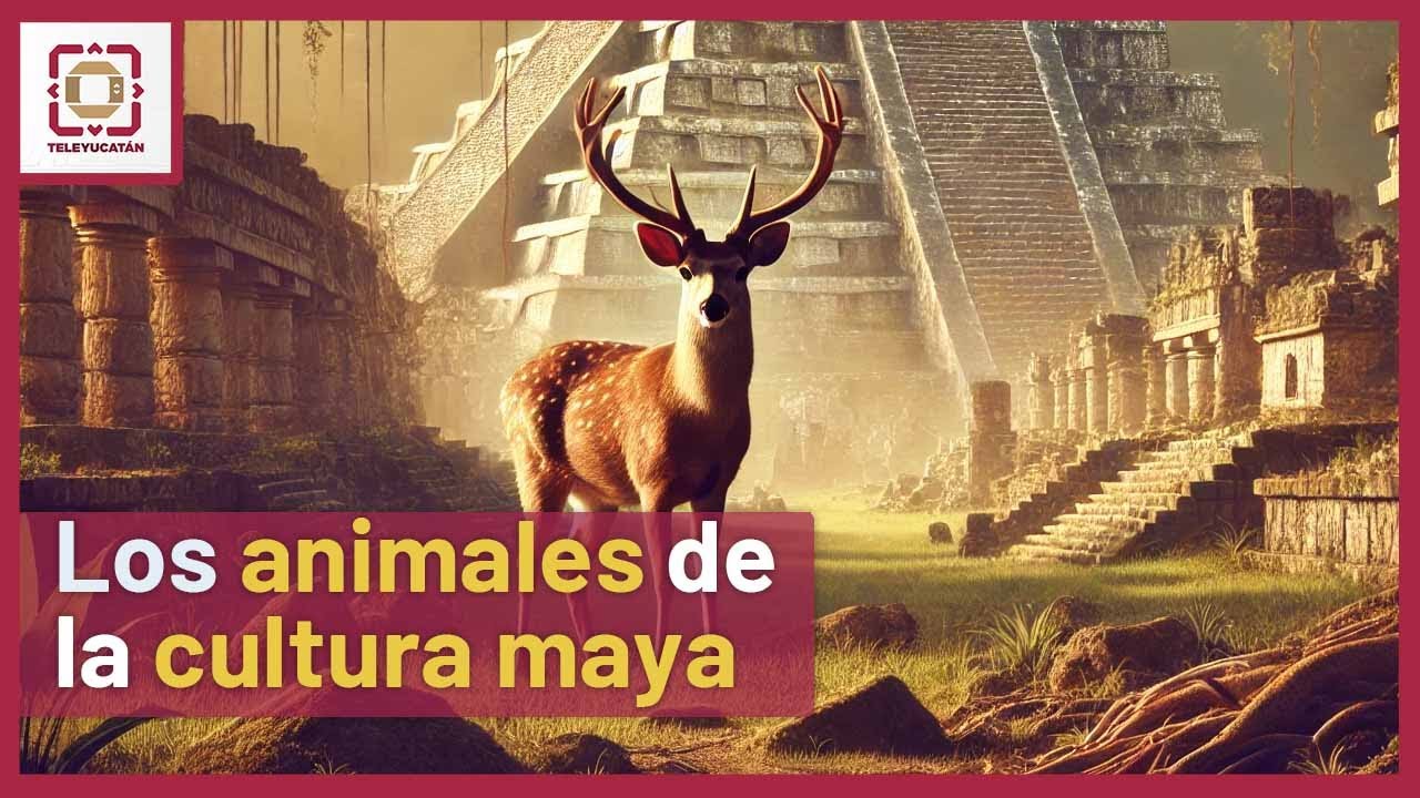 👉Conoce los ANIMALES SAGRADOS para la CULTURA MAYA | TELE Yucatán - YouTube