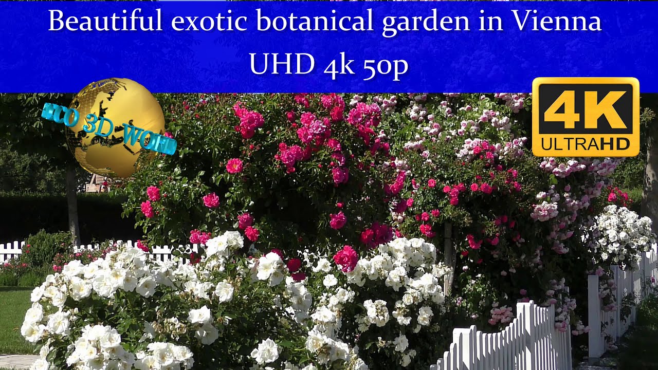 Beautiful exotic botanical garden in Vienna – UHD 4k 50p - YouTube