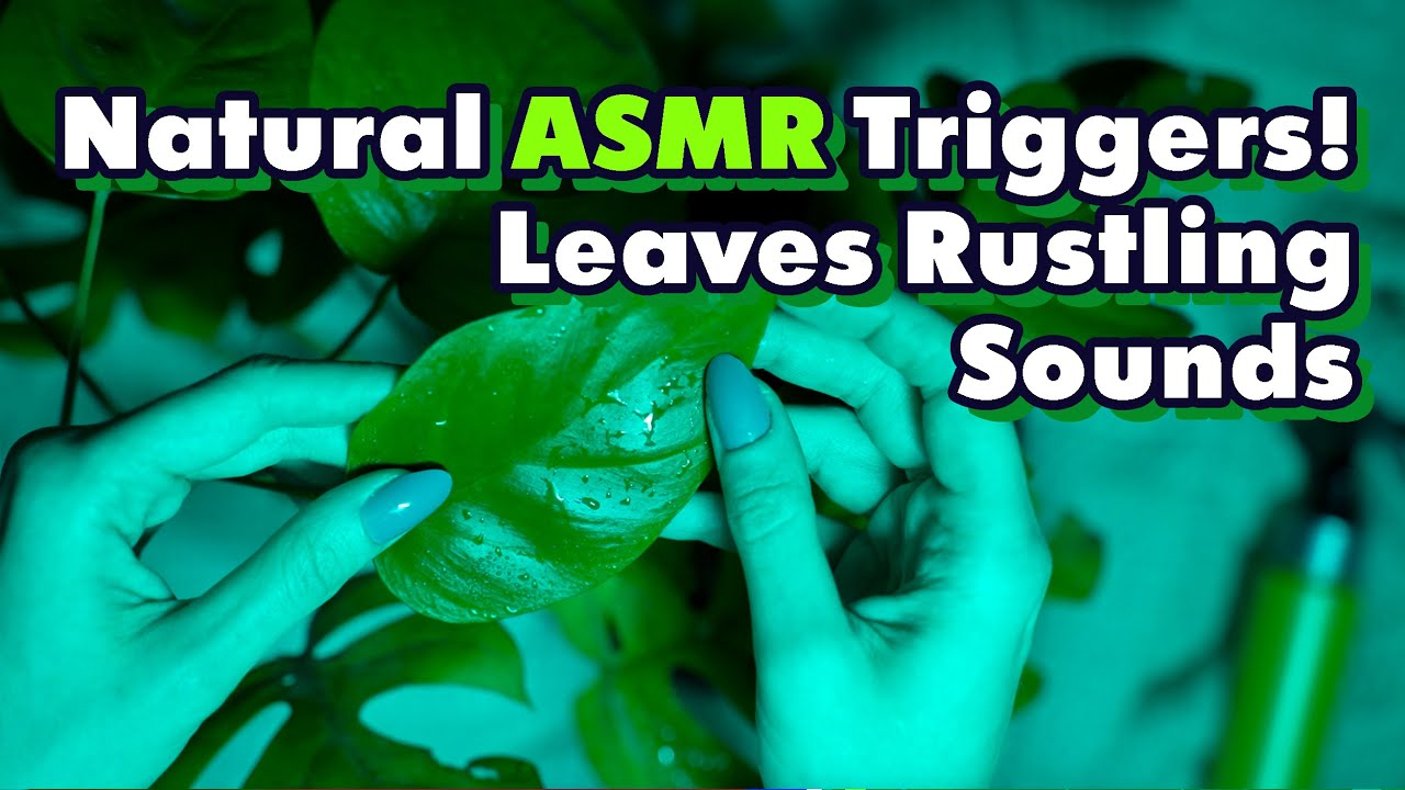 Leaves Rustling ASMR | Natural ASMR Triggers for Deep Relaxation ...