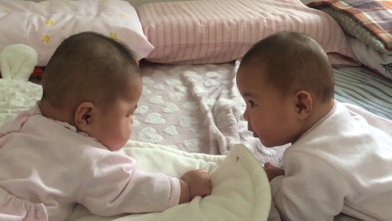 Baby twins interaction - YouTube