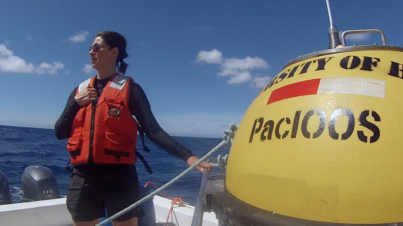 New PacIOOS wave buoy back in time for summer swells - YouTube