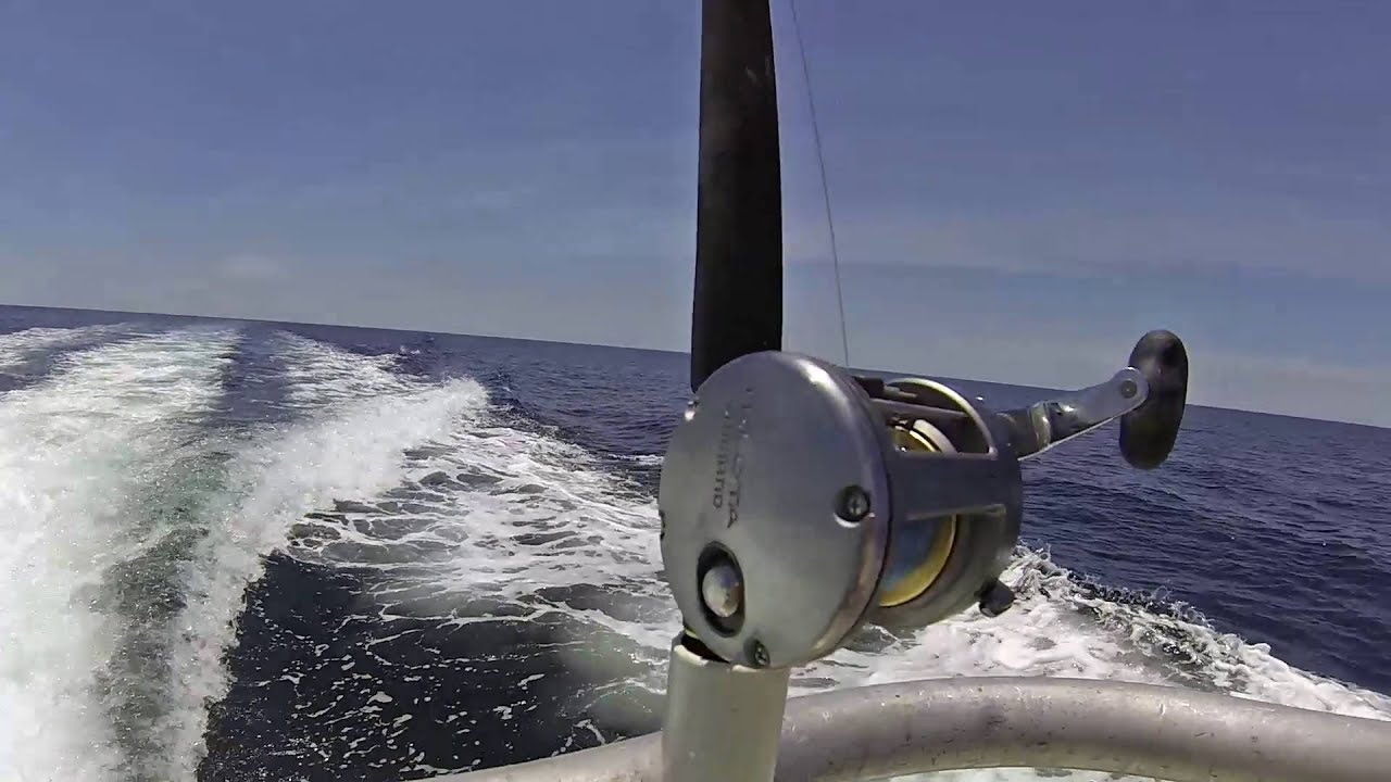 Shimano Tekota Reel Trolling Deep Sea - YouTube