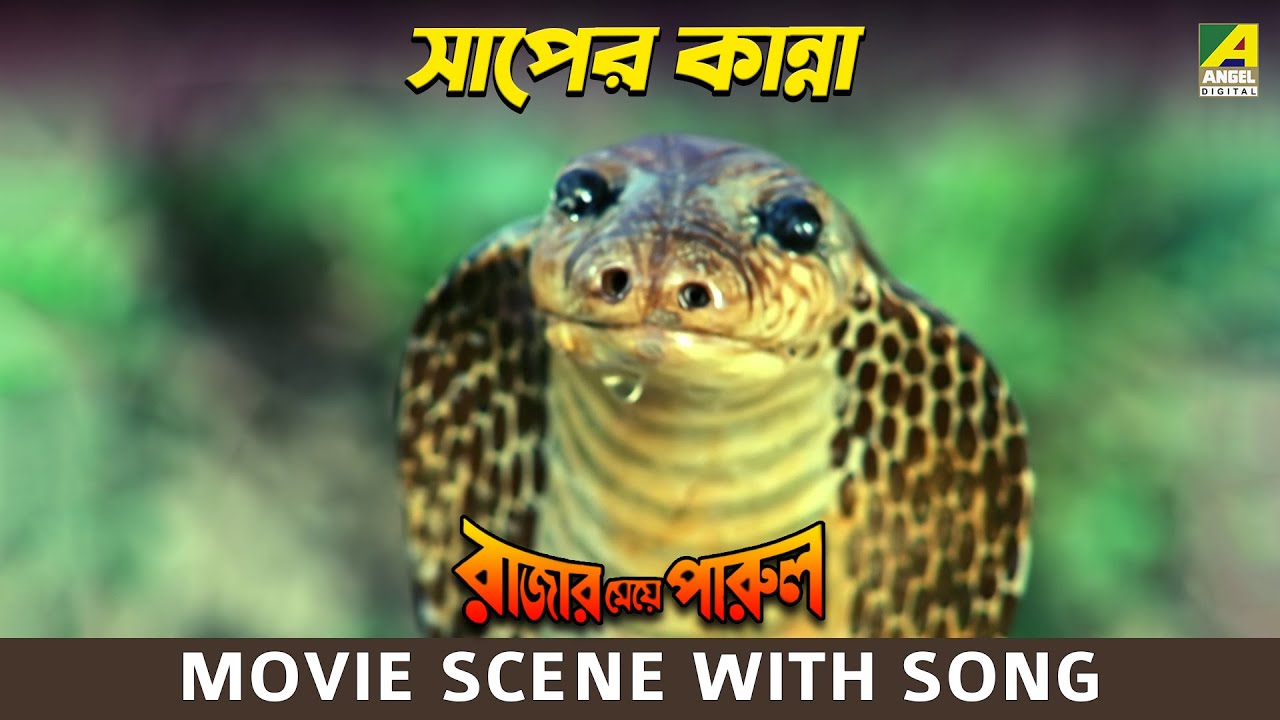 সাপের কান্না | Movie Scene | Rajar Meye Parul | Tapas Paul | Teli Samad ...