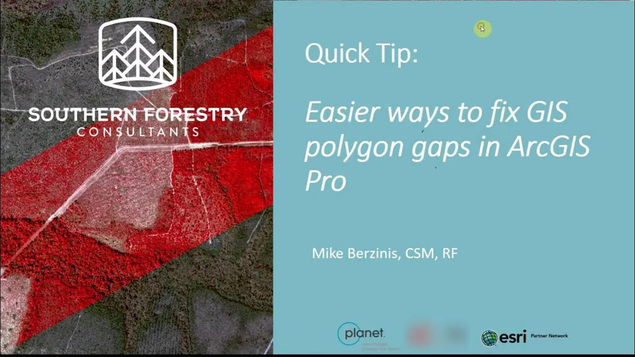 Easy ways to fix polygon gaps in ArcGIS Pro - YouTube